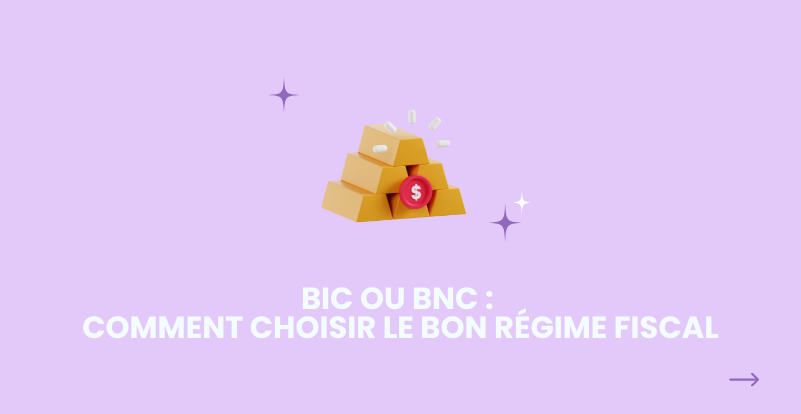 BIC ou BNC : comprendre les différences et déterminer votre régime ...
